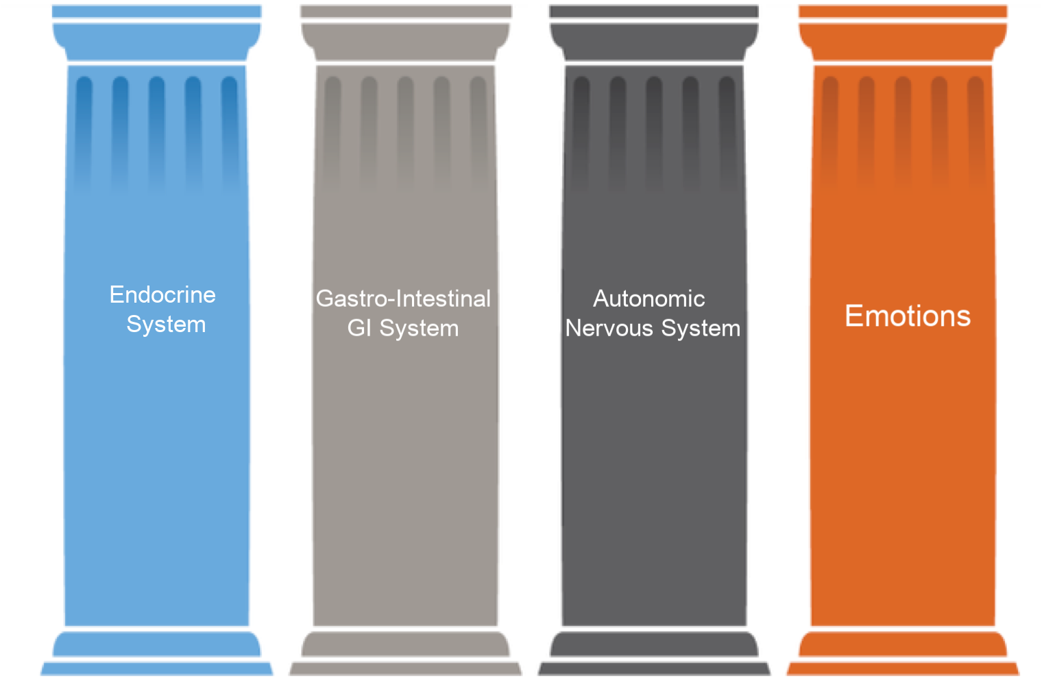 Energy Body Assessment | Sound and Color Acupuncture